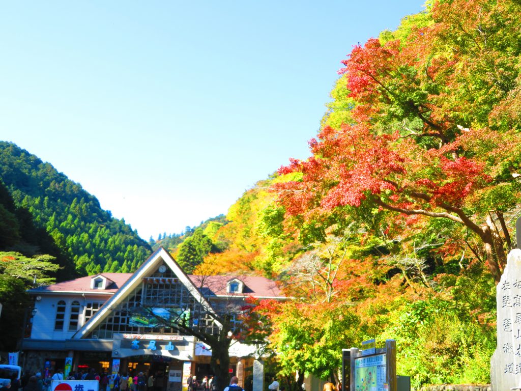 20221102清滝 (1) – 高尾登山電鉄 スタッフブログ